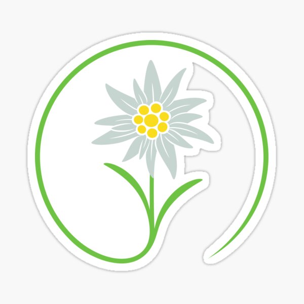 "Edelweiss Flower" Sticker for Sale by MountainOutfit | Redbubble