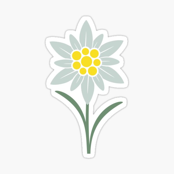 "Edelweiss" Sticker for Sale by MountainOutfit | Redbubble