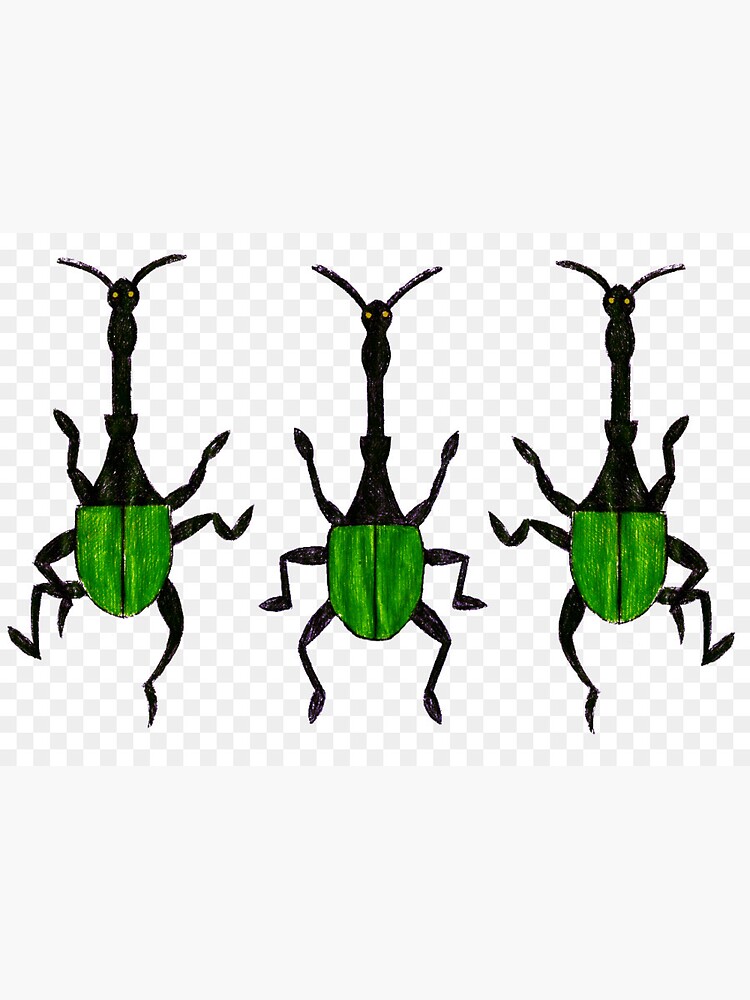 "But cute weevil" Sticker by RH-Dessin | Redbubble