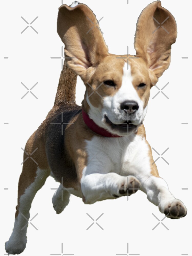 "Happy Dog" Sticker by 9chaa | Redbubble