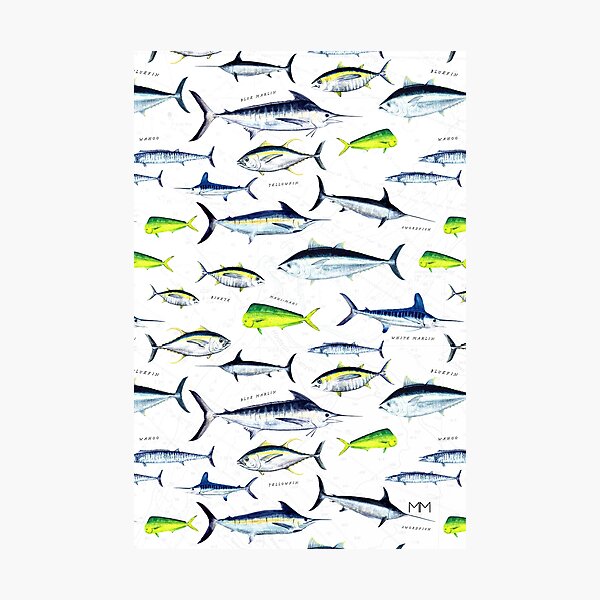 "Tuna, Marlin, Wahoo, Swordfish, Mahi-Mahi Hand Illustrated Sport Fish ...