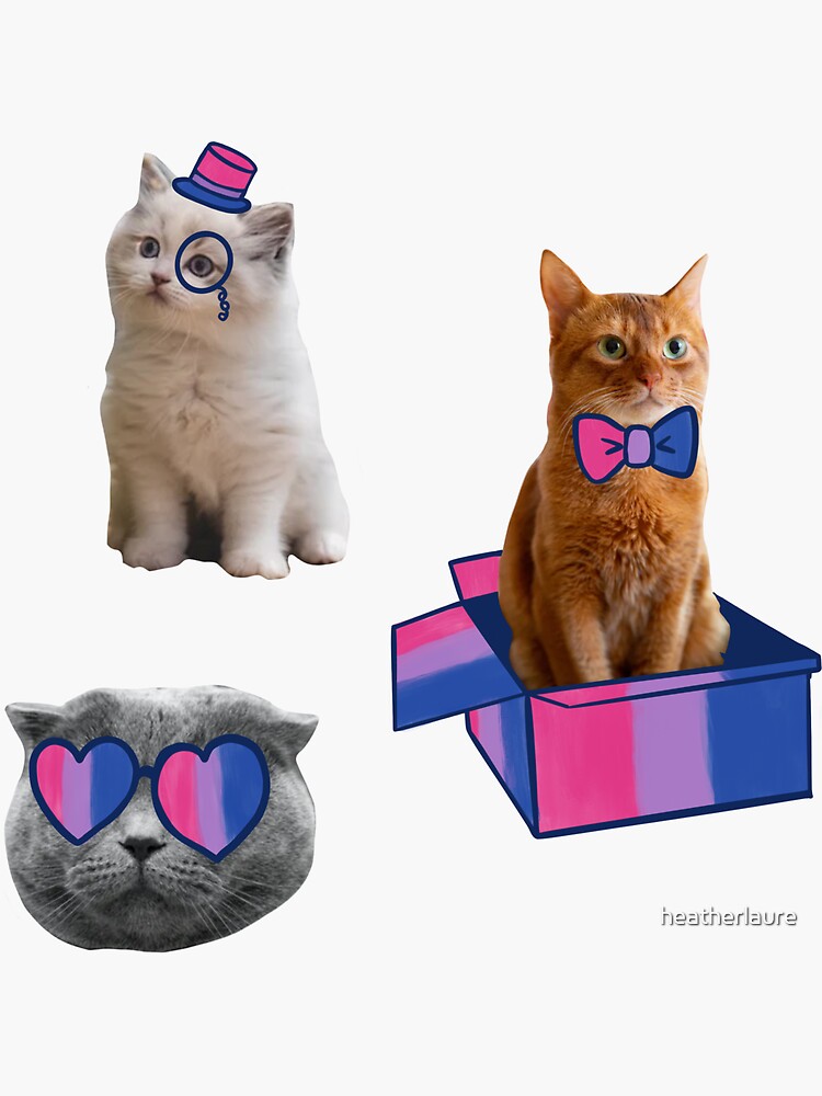 "bi cats sticker pack" Sticker by heatherlaure | Redbubble