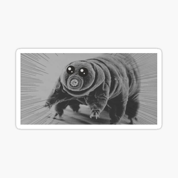 "Water Bear" Sticker by xxRampaige | Redbubble