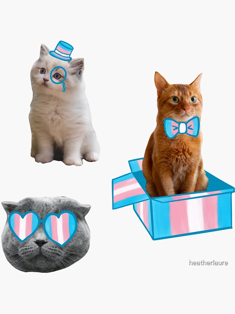 "trans cats sticker pack" Sticker by heatherlaure | Redbubble
