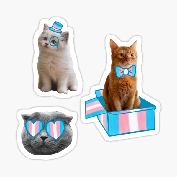 "trans cats sticker pack" Sticker by heatherlaure | Redbubble