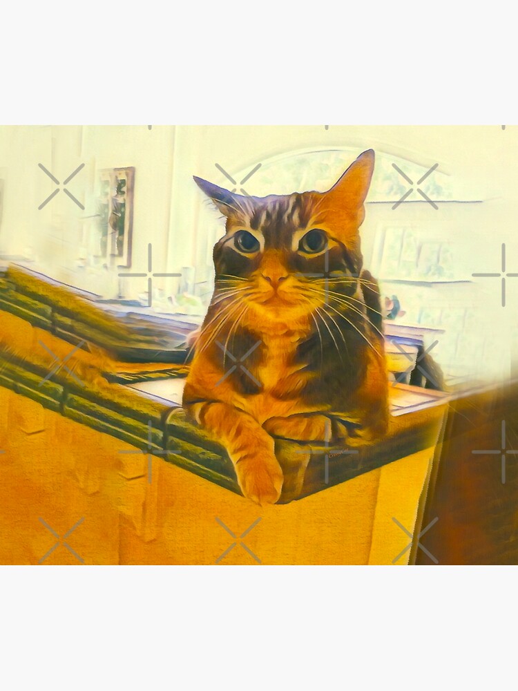 "Huxley the bad ass cat" Sticker by CrissyAnderson | Redbubble