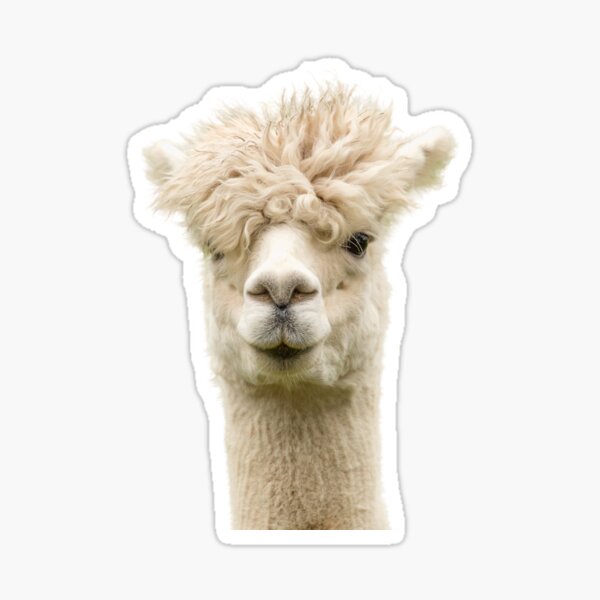 "Cute alpaca " Sticker by FamilyVDesign | Redbubble