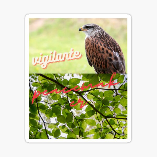 "vigilante peacemaker" Sticker by Nileriverdesign | Redbubble