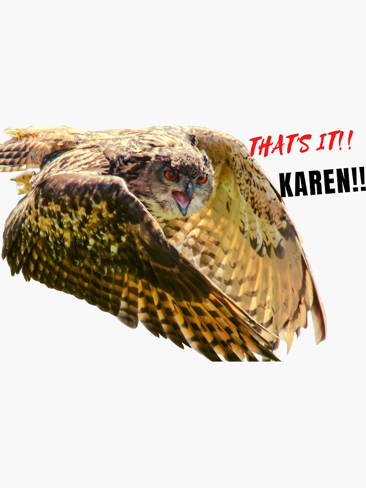"Grumpy Owl vs. Karen" Sticker by jjk-1983 | Redbubble