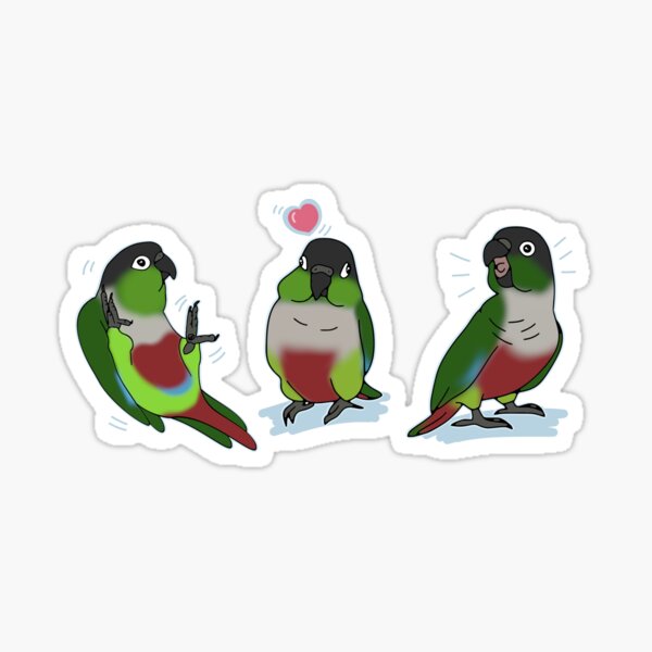 "Three Green Cheeked Conure doodles" Sticker by FandomizedRose | Redbubble