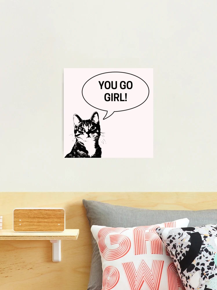 You Go Girl Cat Adoptable Pets APA Adoption Center St. Louis, MO