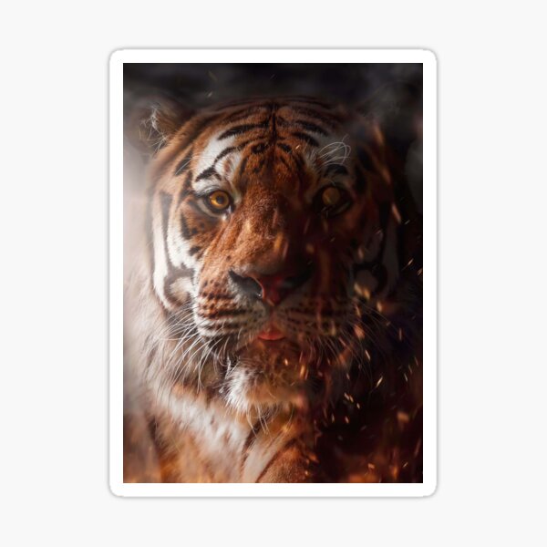 "wild animals tiger 1" Sticker by abeklein563 | Redbubble