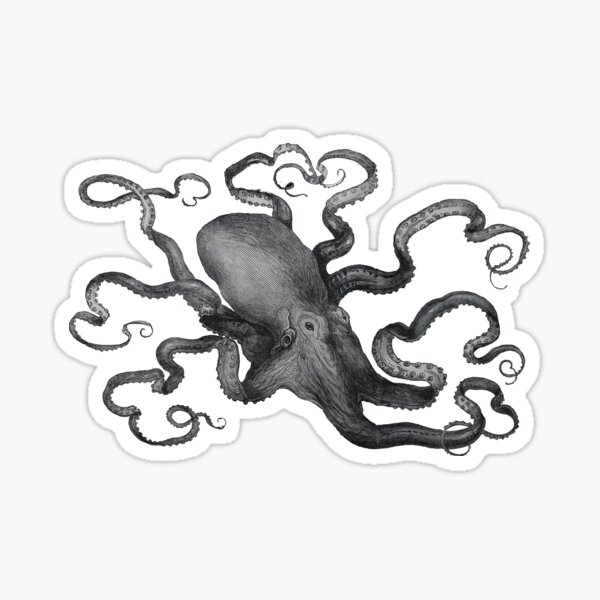 "Pulpo Octopus Sticker Halloween Deep Sea Diving Squid Steampunk ...