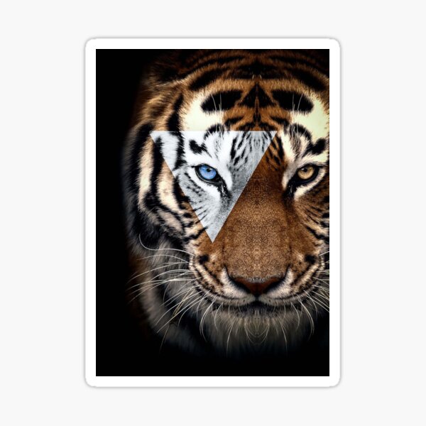"wild animals tiger 10" Sticker by abeklein563 | Redbubble