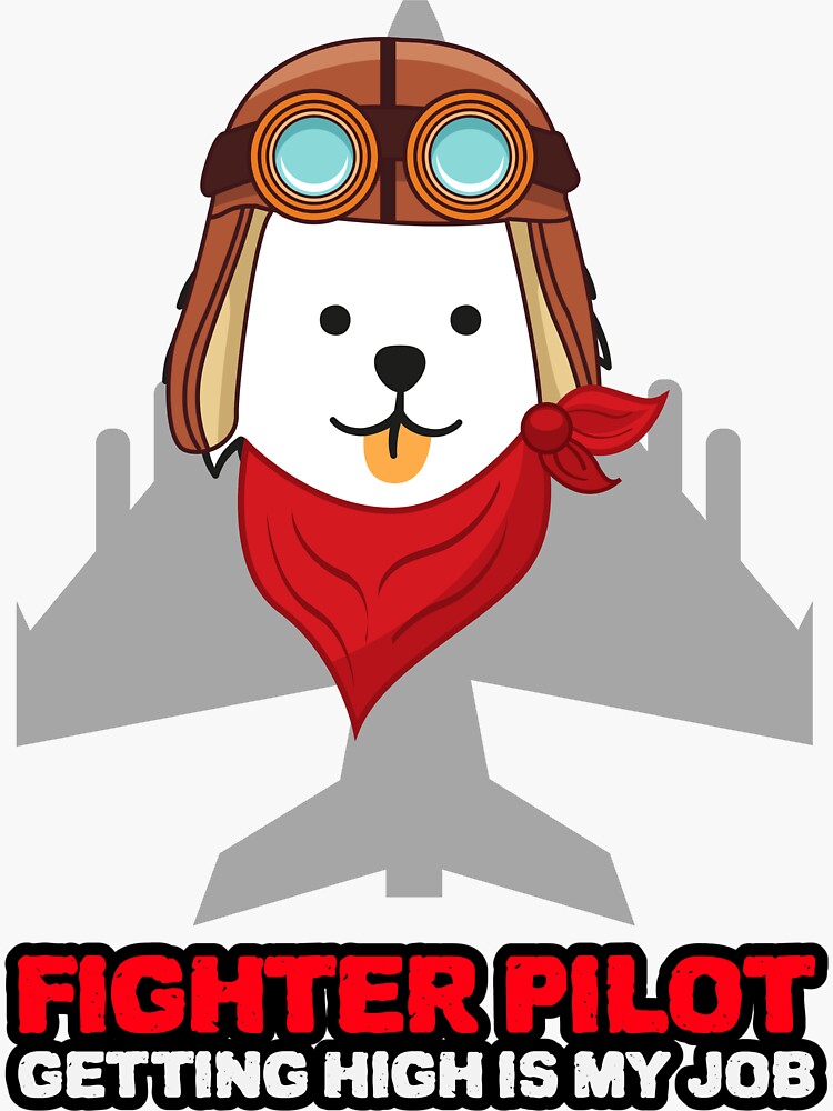 " Fighter Pilot - Funny Quotes" Sticker for Sale by fashionoose | Redbubble