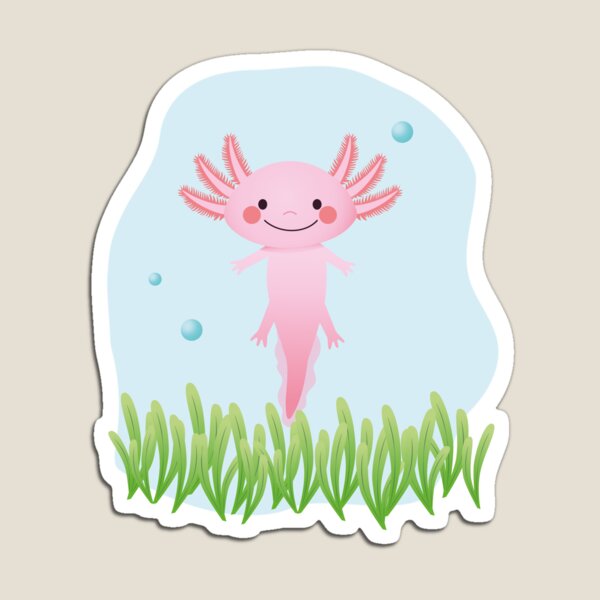 "AXOLOTL, CUTE AXOLOTL, KAWAII AXOLOTL" Magnet by Terevela | Redbubble