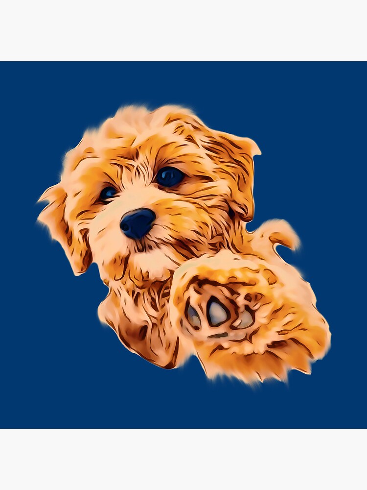 "Cute cartoon Cockapoo Puppy Design" Photographic Print for Sale by ...