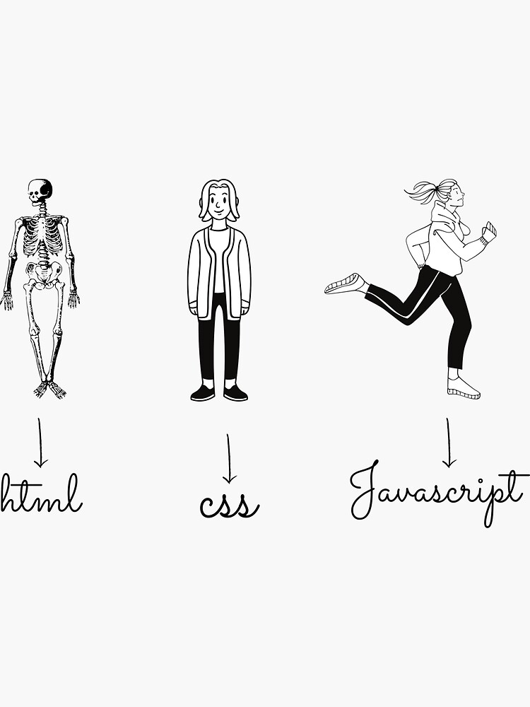 "Front End Development Example " Sticker by webdevlife | Redbubble