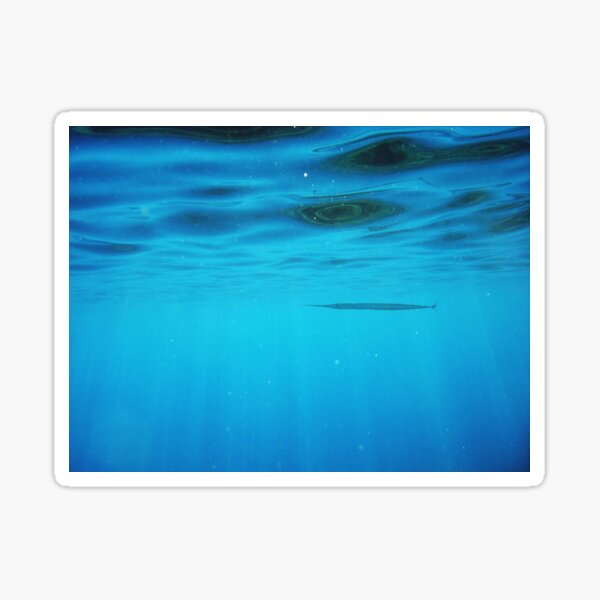 "Underwater loneliness Garfish " Sticker for Sale by chloeyzoard2 ...