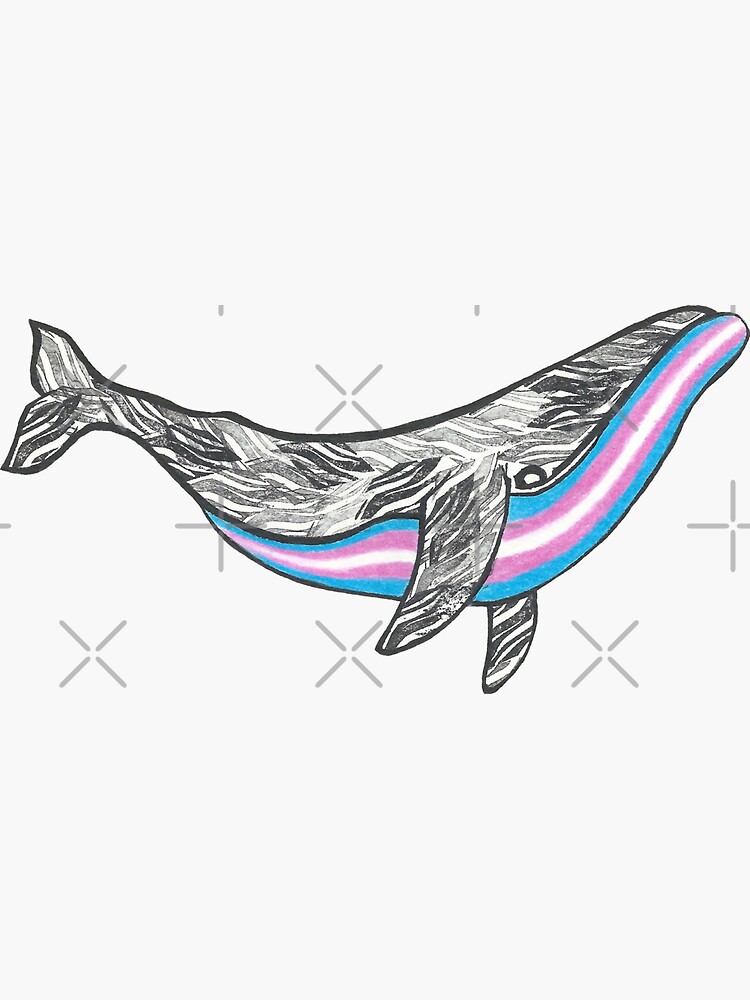 "Trans whale" Sticker for Sale by hyenkey | Redbubble