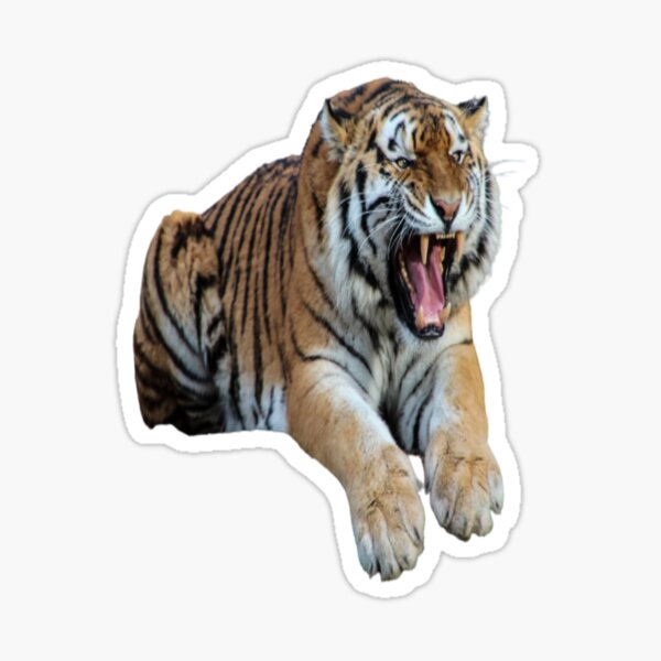 "tiger" Sticker for Sale by RinPrinting | Redbubble