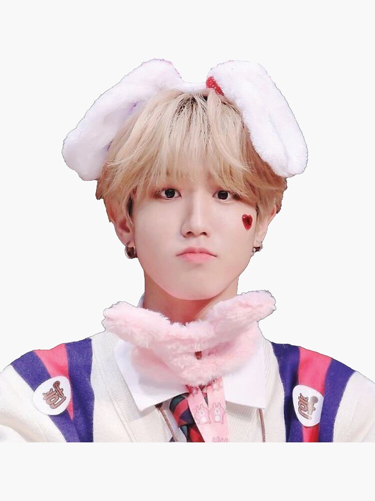 "Stray Kids Cute Han" Sticker for Sale by kpopnow | Redbubble