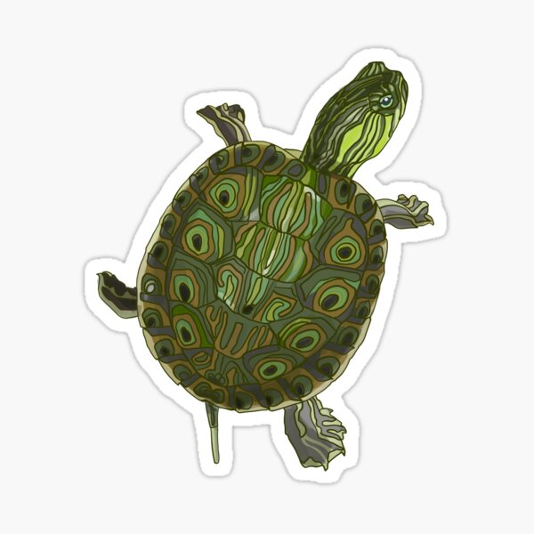 "Baby red eared slider 2022" Sticker for Sale by OlgaAt | Redbubble