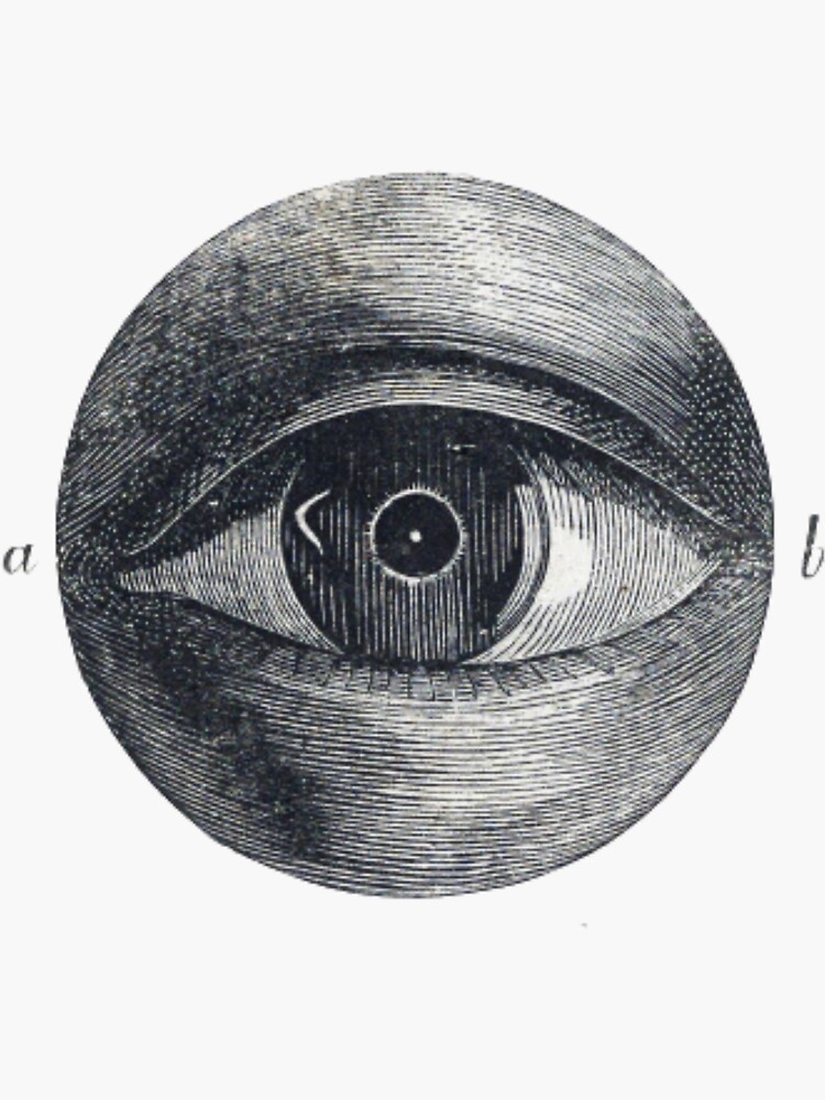 "Human Eye" Sticker by conormacleod26 | Redbubble