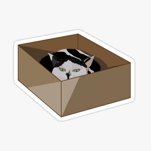 "Black and white cat in a box" Sticker for Sale by deehowley | Redbubble