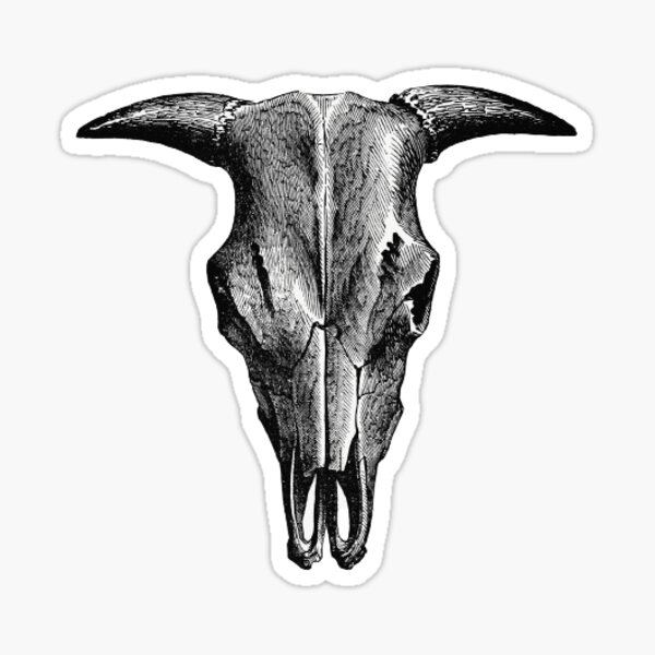"Bull by the Horns" Sticker for Sale by CurlyPi | Redbubble