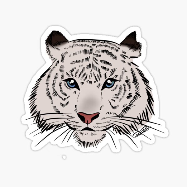 "White Tiger " Sticker by rmcbuckeye | Redbubble