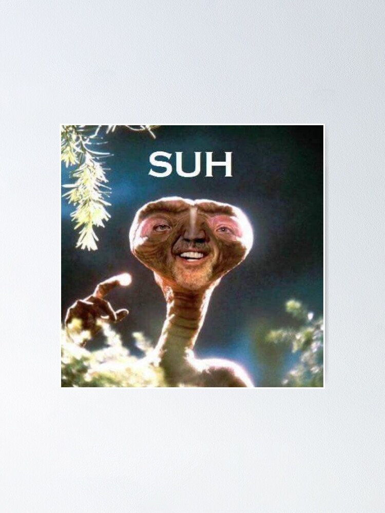 Suh Guy Memes Suh Dude Funny Internet Meme T Shirt T Shirt