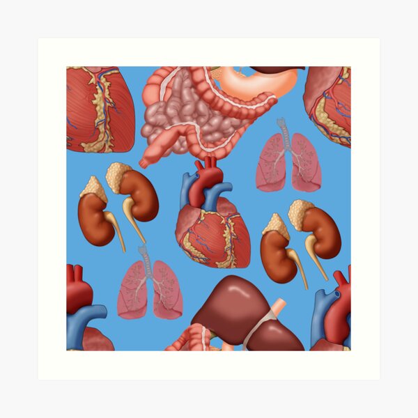 "Whimsical Funny Illustration of Body Parts Anatomy" Art Print by ...
