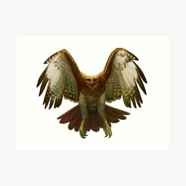 "Animorphs Tobias Red Tailed Hawk " Art Print by CharReed | Redbubble