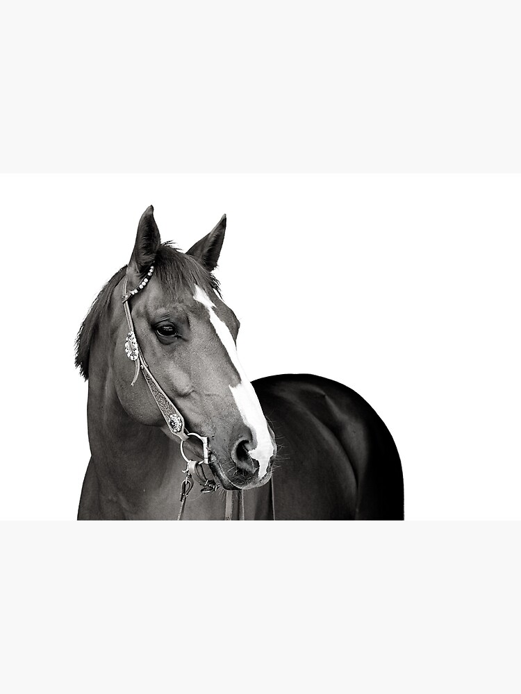 "Black and White Quarter Horse Headshot With Western Bridle" Poster for ...