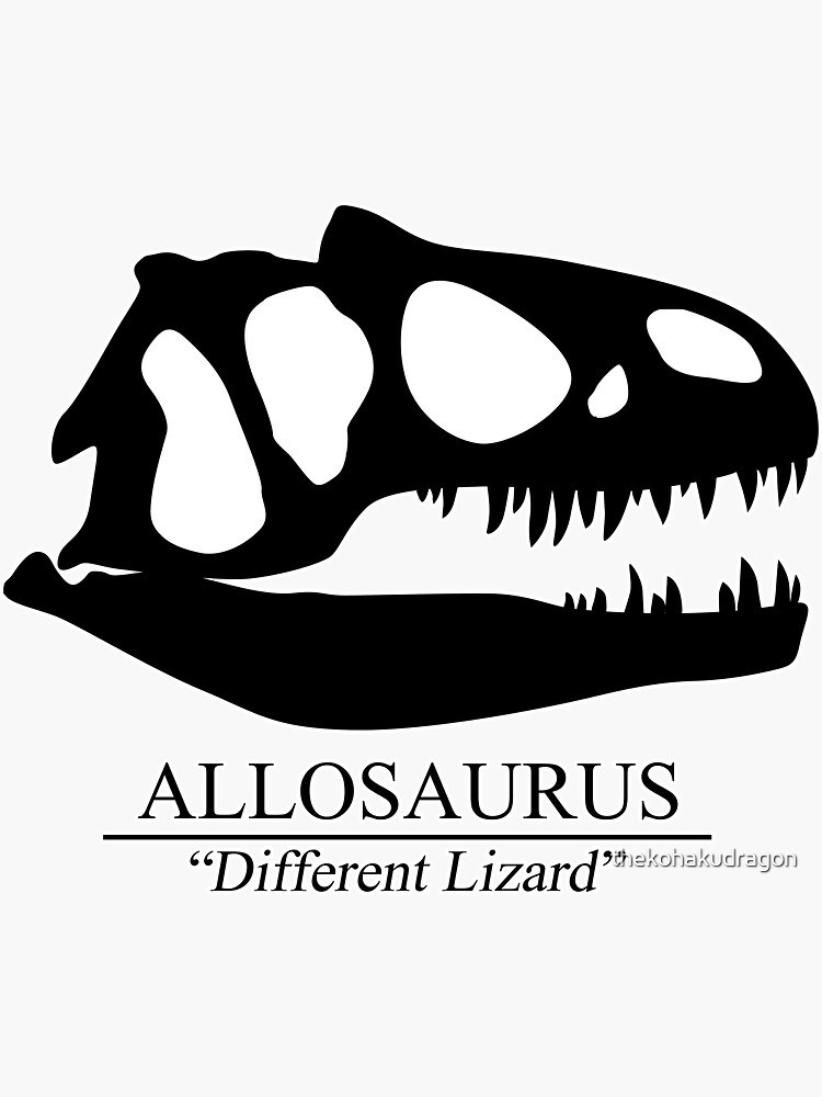 "Allosaurus Skull" Sticker by thekohakudragon | Redbubble
