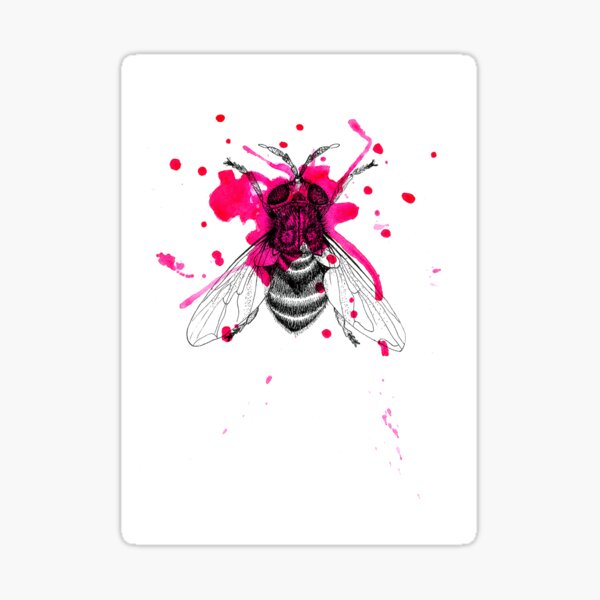 "Squashed fly" Sticker for Sale by bridgetdav | Redbubble