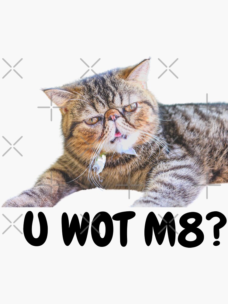 "U wot m8" Sticker by Endeavour-Tees | Redbubble