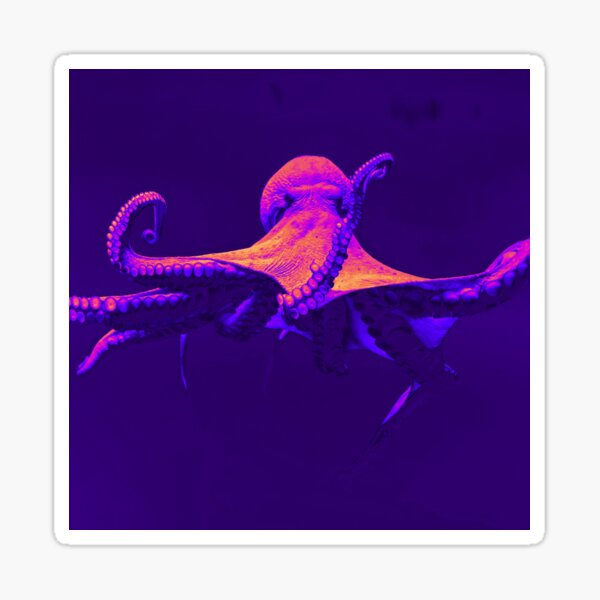 "Deep Blue Something" Sticker by ColorGallery | Redbubble