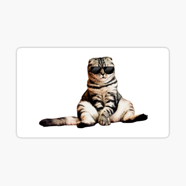 "Kool Kitty" Sticker by FierceDesigns | Redbubble