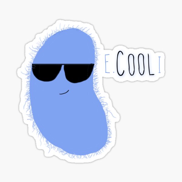 "E. Coli " Sticker by Tamm-art | Redbubble