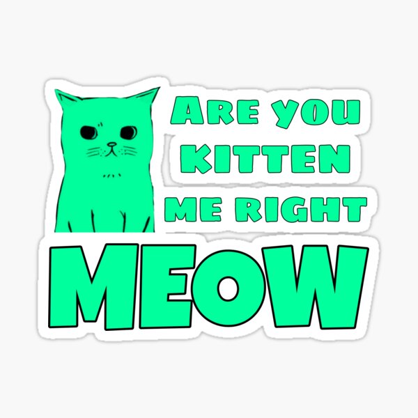 " Are You Kitten Me Right Meaw" Sticker by Tito87 | Redbubble