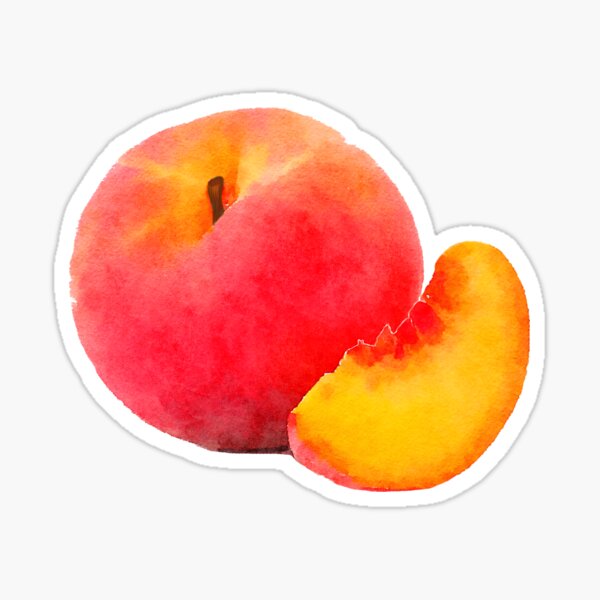 "Summer Peaches" Sticker by BunnyThePainter | Redbubble