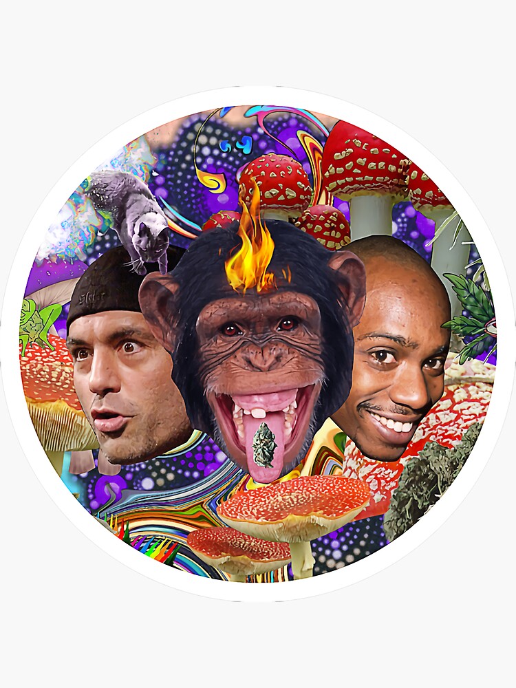 "Dave Chappelle" Sticker by heyzhelazo | Redbubble