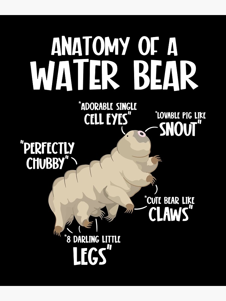 "Microbiology Water Bear Science Facts Tardigrade Anatomy" Art Print ...