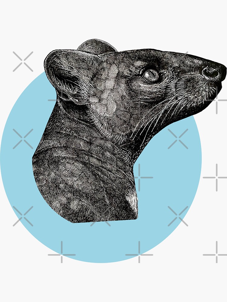 "Pensive Fossa with blue circle" Sticker by Goose-and-Bear | Redbubble