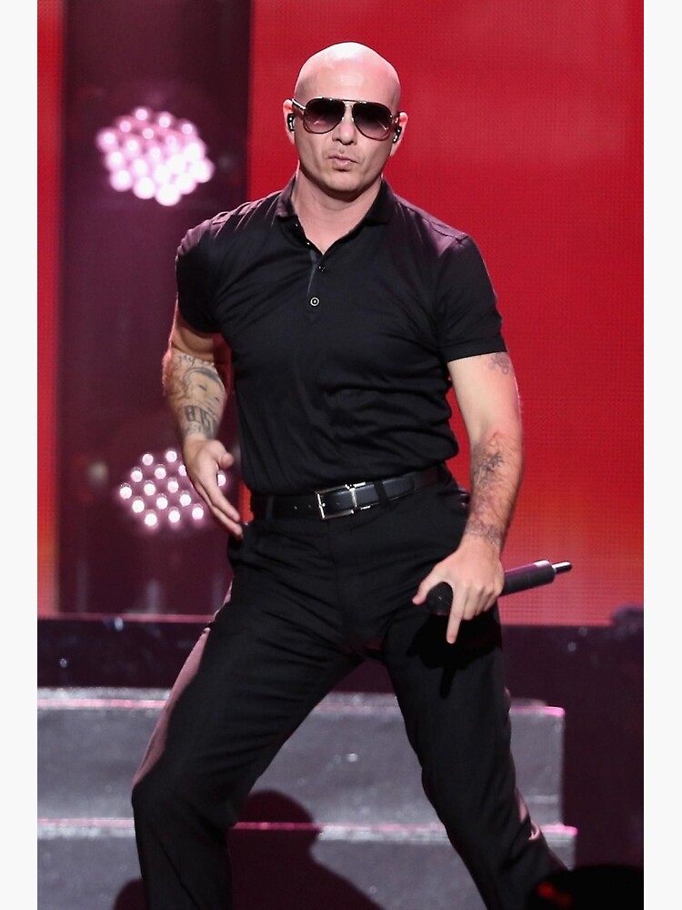 "Pitbull Rapper Illustration" Poster for Sale by LokavyaLennon | Redbubble