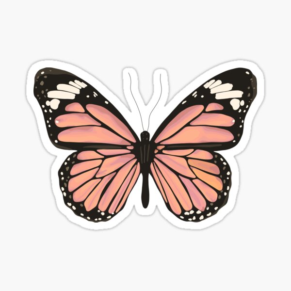 "Pink and Peach Monarch Butterfly Illustration " Sticker by ivyandstone ...