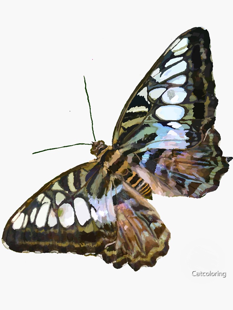 "Simple Butterfy" Sticker by Catcoloring | Redbubble