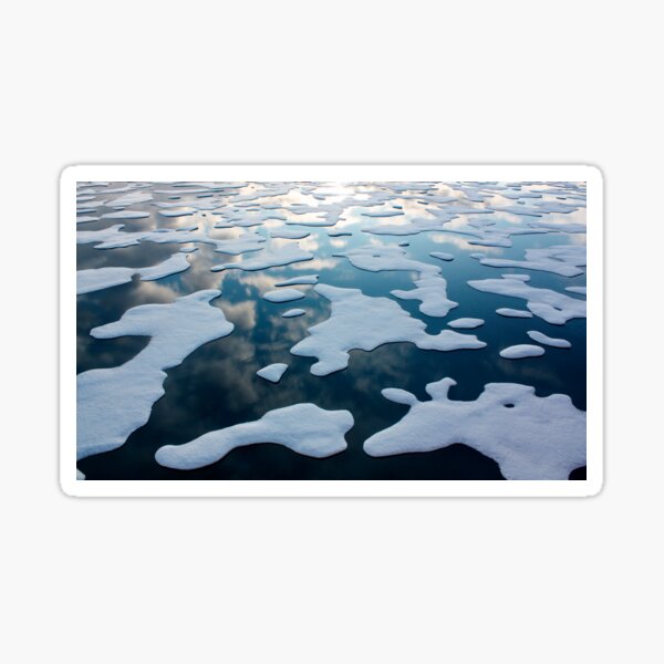 "Sea ice" Sticker for Sale by CuteCatherine | Redbubble